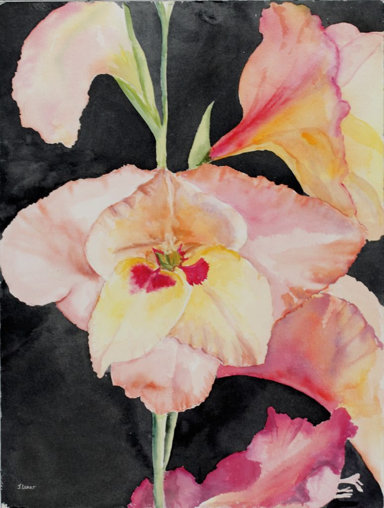 Art Gallery, Art by Wes Loper & Judy Loper